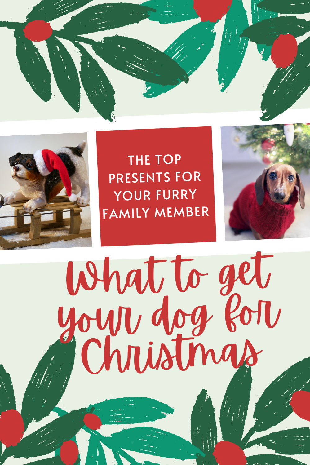 What to get my Dog for Christmas? 10 Holiday Present Ideas for Your Dog ...