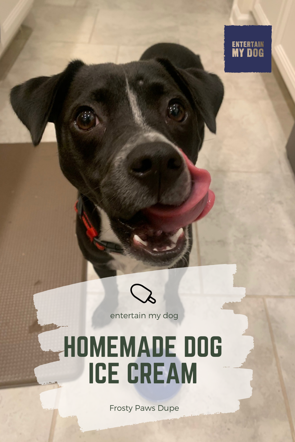 Dog Ice Cream. Homemade Frosty Paws Recipe (Copycat) – Entertain My Dog
