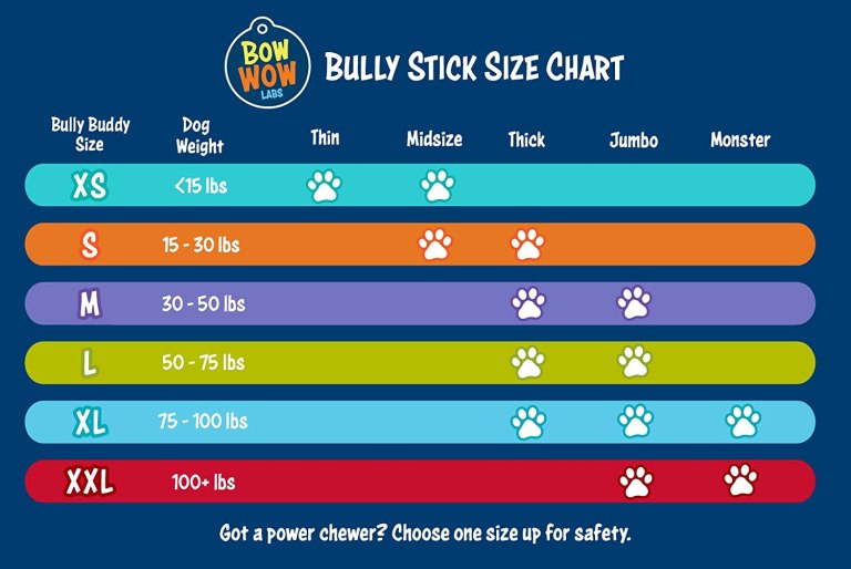 10 Best Bully Stick Holders – Safer and Longer Lasting Pizzles ...