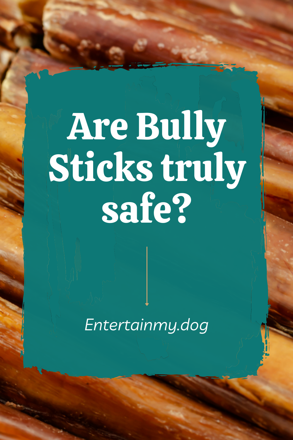 Are Bully Sticks Safe For Dogs? – Entertain My Dog